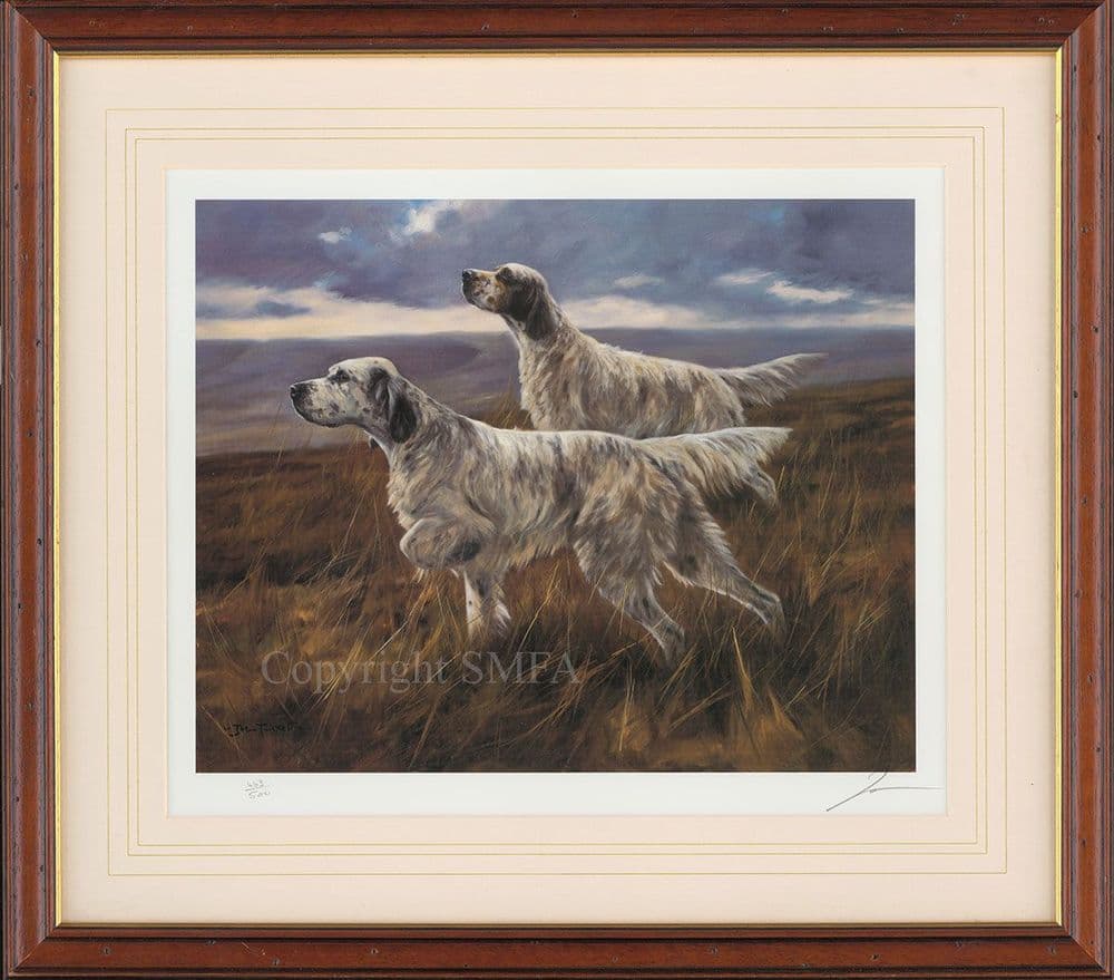 English Setters Ex-Display Framed Print by John Trickett
