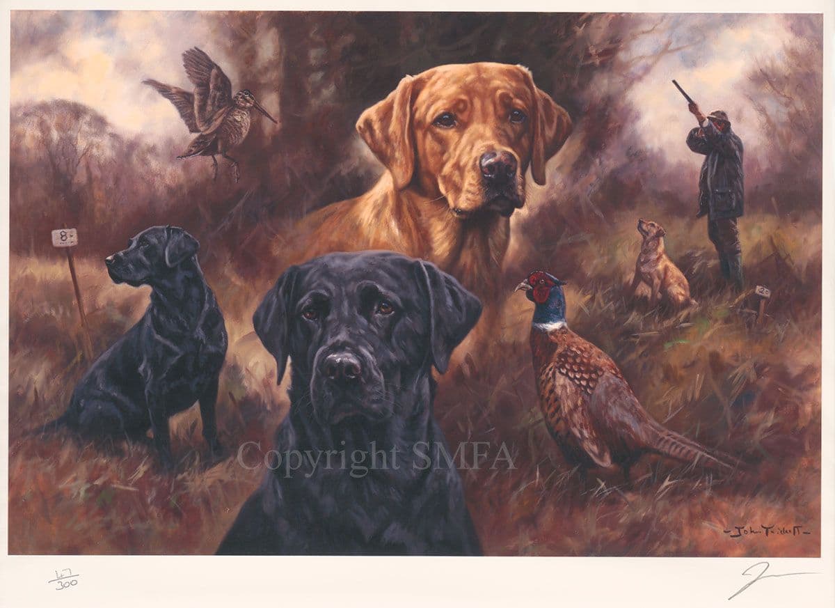 Field Work Ex-Display Mounted Labrador Print by John Trickett