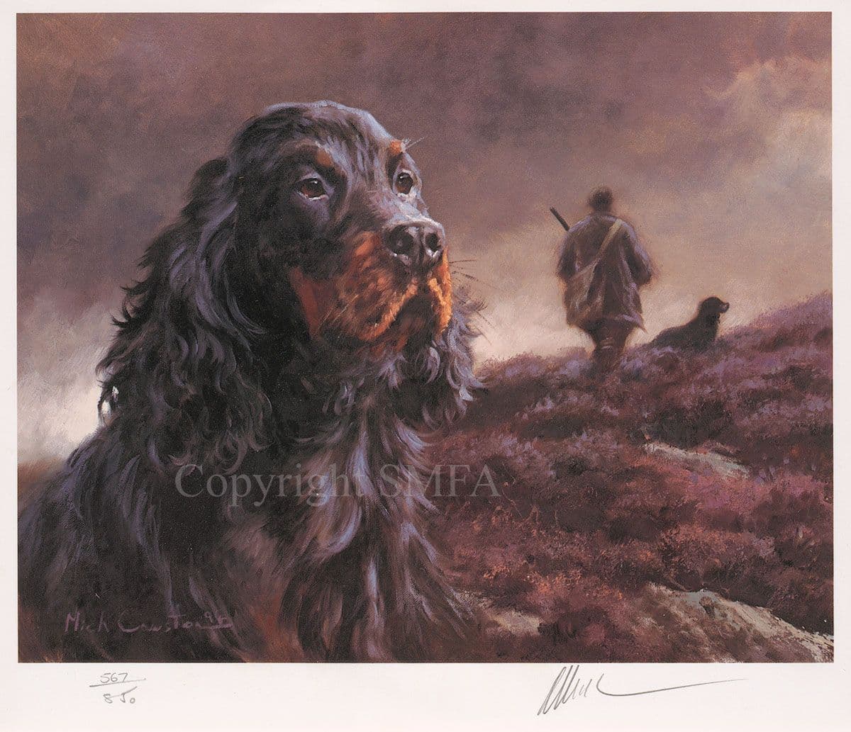 Gordon Setter Head Study Ex-Display Print by Mick Cawston