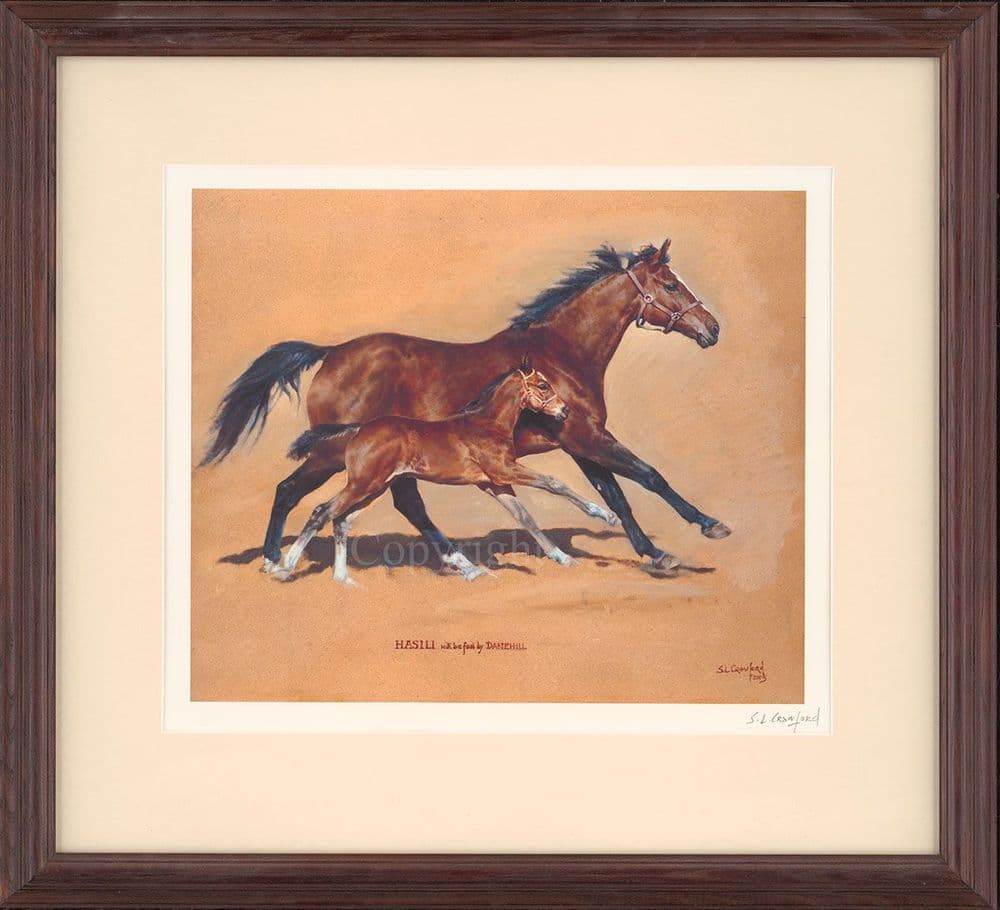 Hasili with befoal by Daneshill Signed Horse Racing Print by Susan Crawford