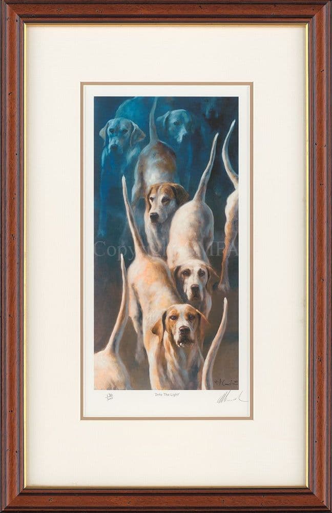 Into The Light Ex-Display Framed Fox Hound Print by Mick Cawston