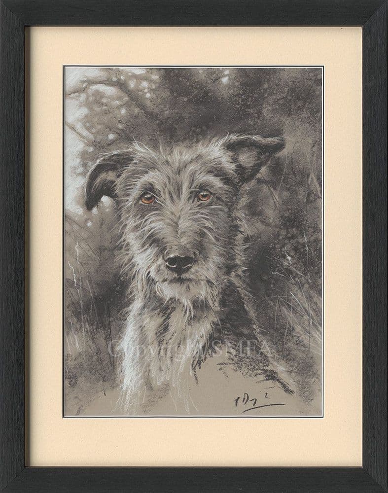 Lurcher Original Charcoal Drawing by Paul Doyle