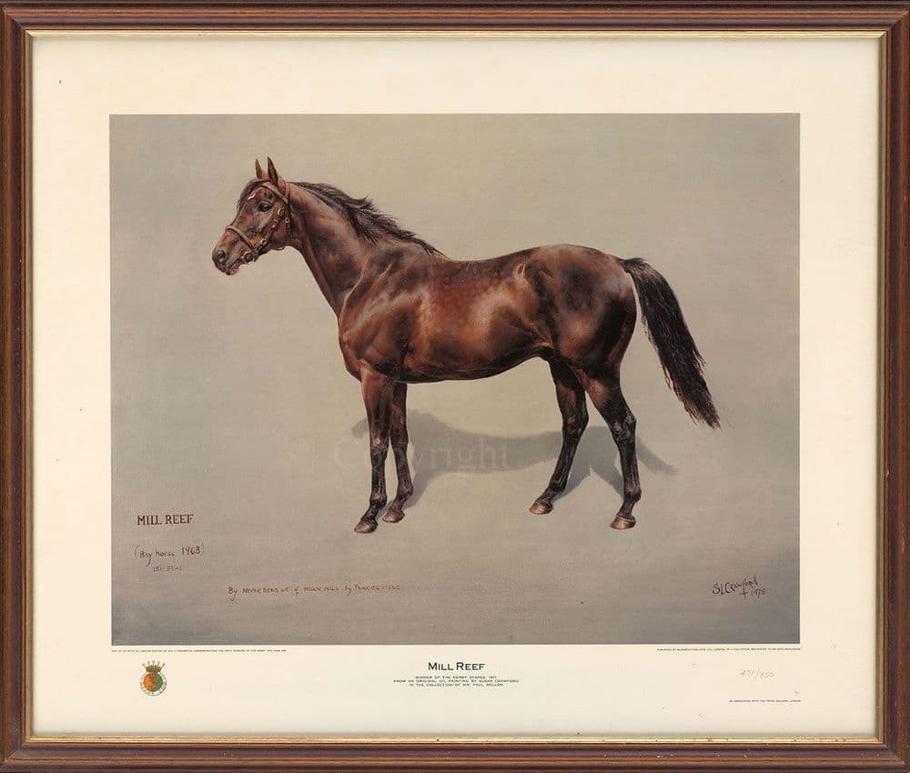 Mill Reef Ex-Display Horse racing Print by Susan Crawford