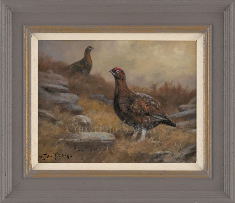 Moorland Grouse Original oil on panel by John Trickett