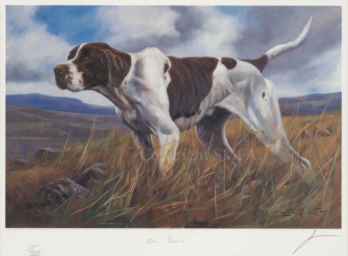 On Point Ex-Display English Pointer Print by John trickett