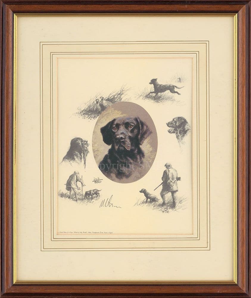 Oval Black Lab Ex-Display Framed Labrador Print by Mick Cawston