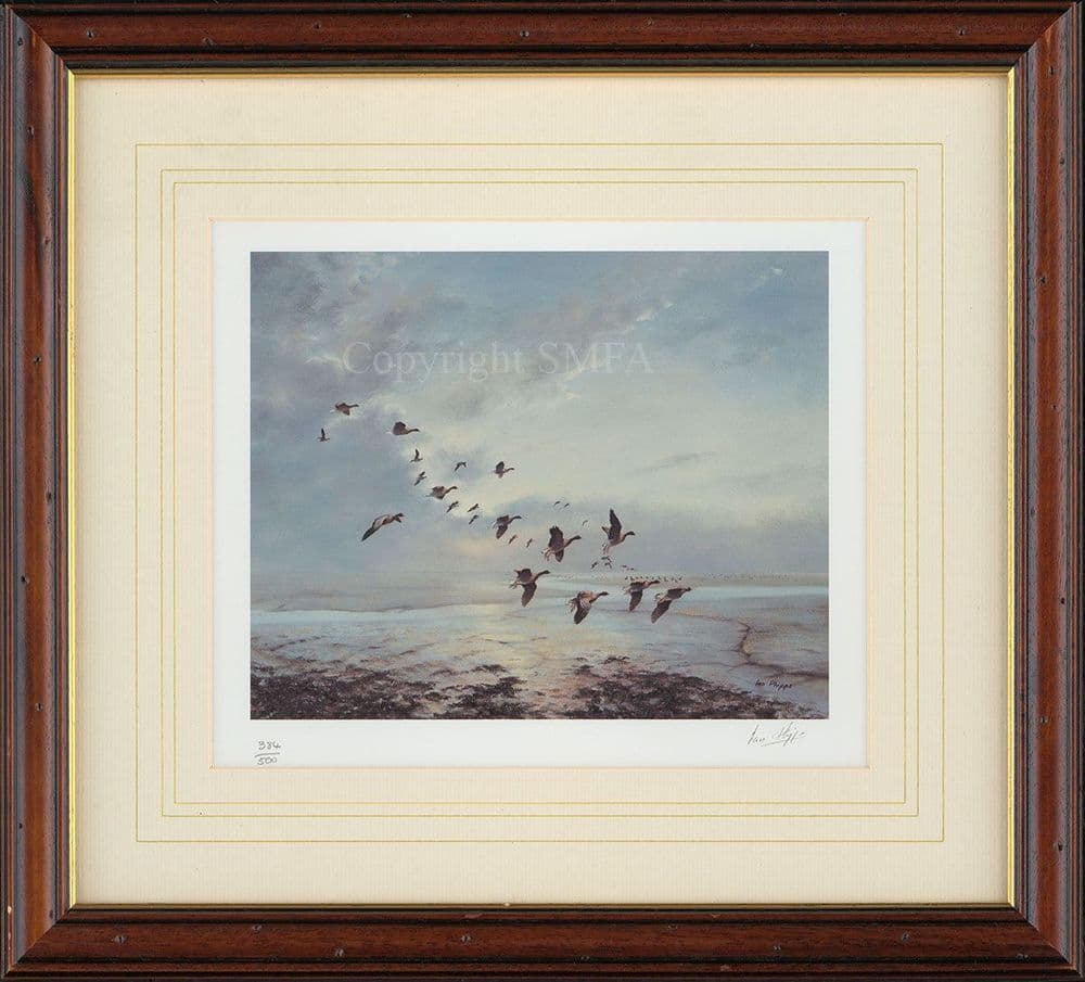 Pinkfeet Coming to Roost Ex-Display Framed Wildfowl Print by Ian Phipps