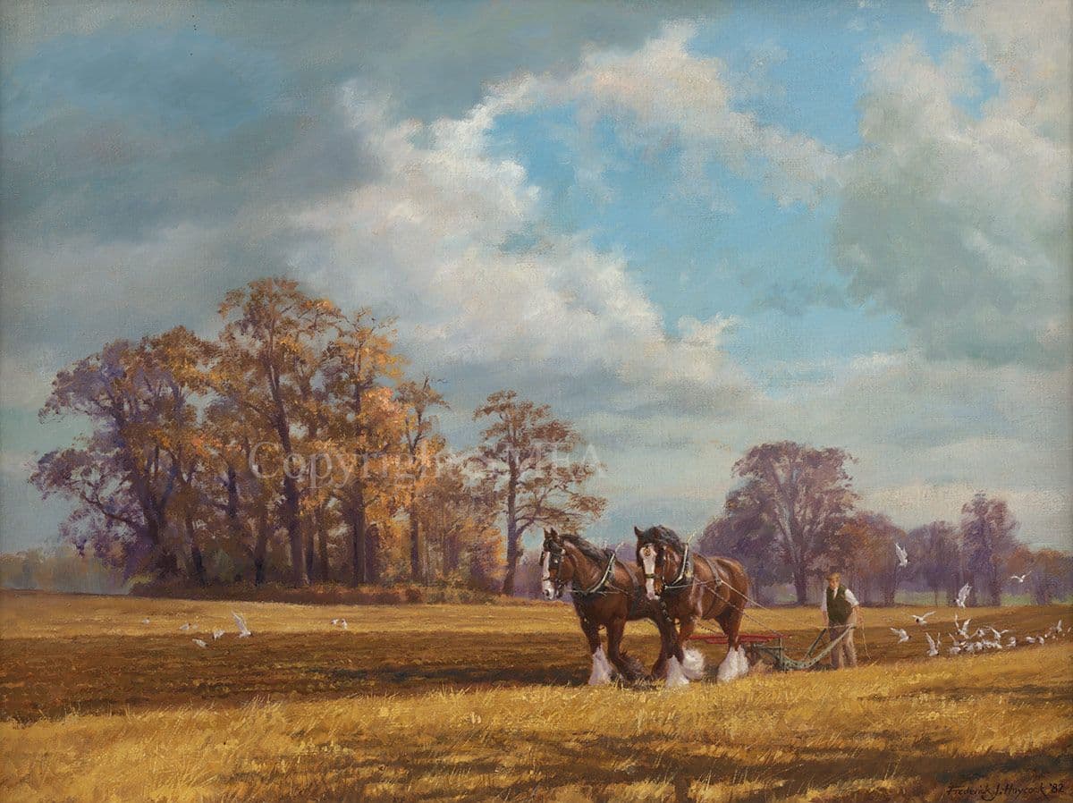 Ploughing Original oil on Canvas Painting by Frederick J Haycock