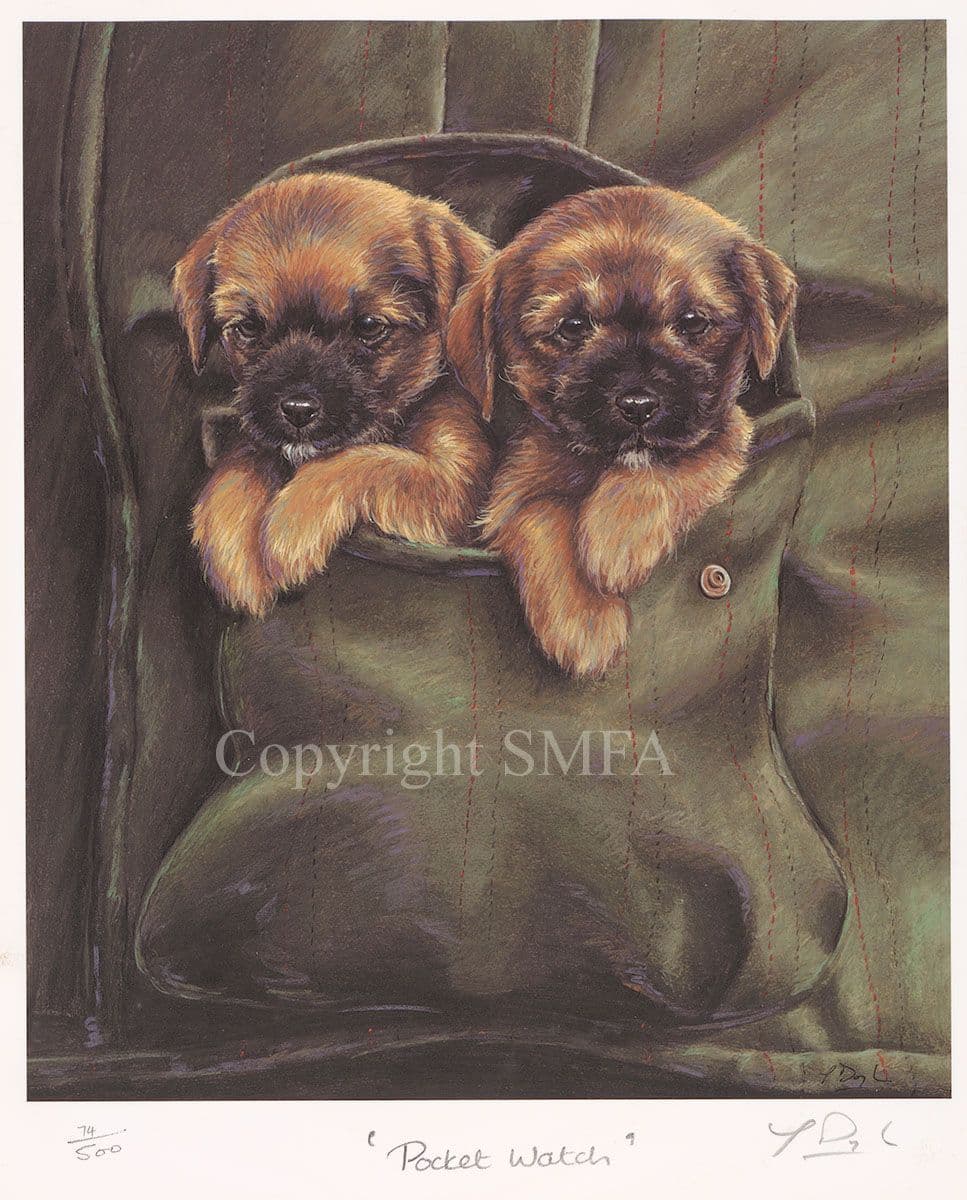 Pocket Watch Ex-Display Border Terrier Print by Paul Doyle