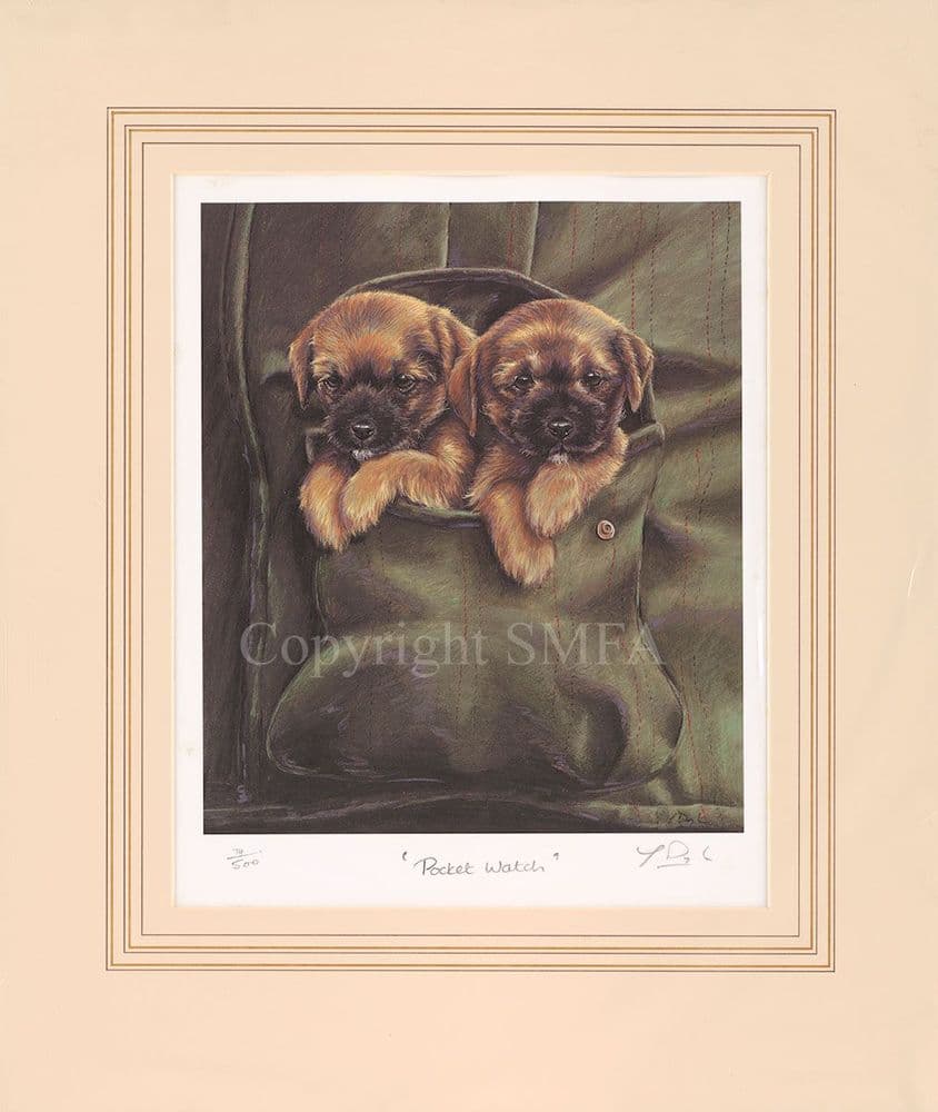 Pocket Watch Ex-Display Border Terrier Print by Paul Doyle