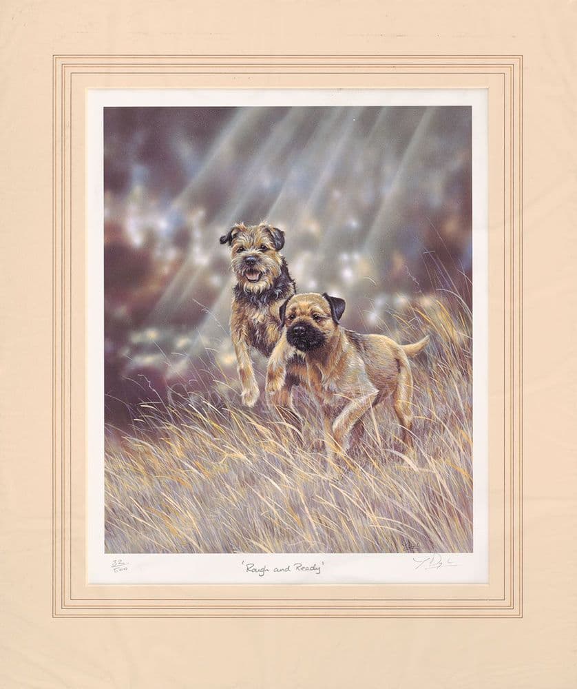 Rough and Ready Ex-Display Mounted Border Terrier Print by Paul Doyle