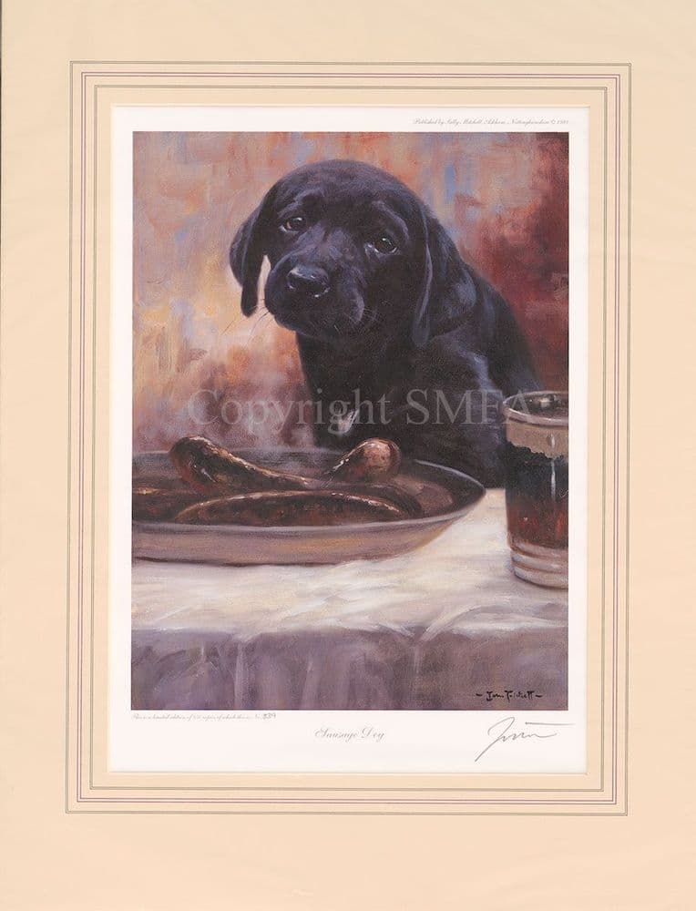 Sausage Dog Rare Ex-Display Mounted Black Labrador Puppy Print by John ...