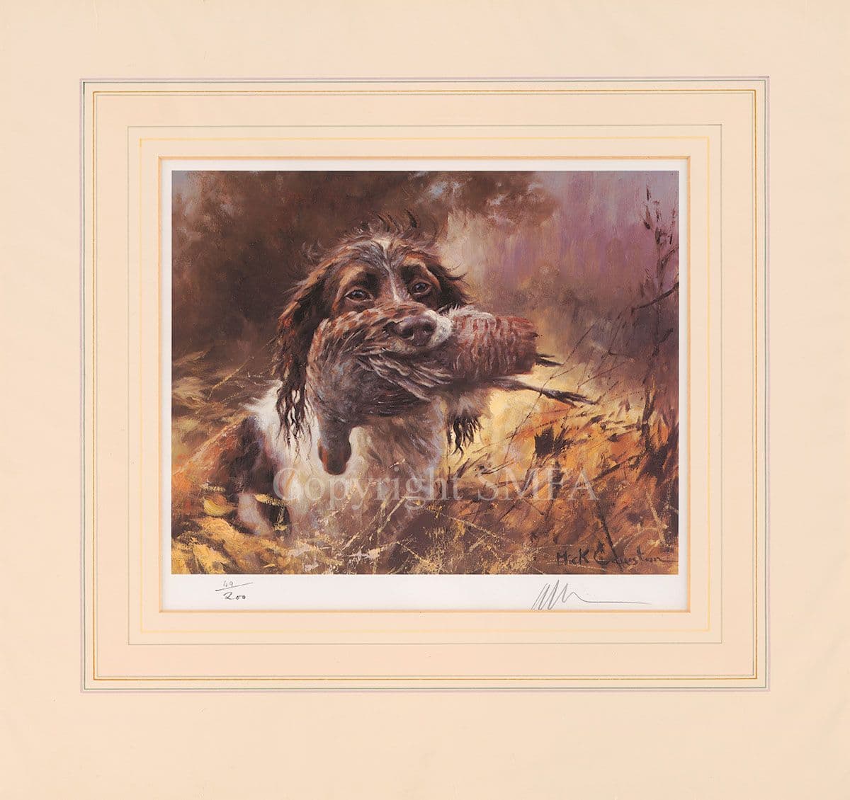 Springer Retrieving Ex-Display Rare Sold Out Print by Mick Cawston