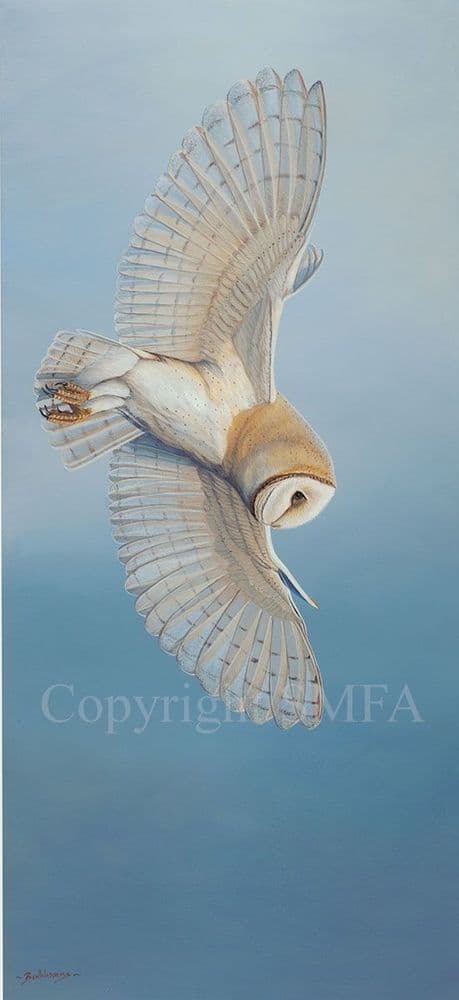 The Ethereal Hunter Barn Owl Limited Edition Print by Ben Waddams