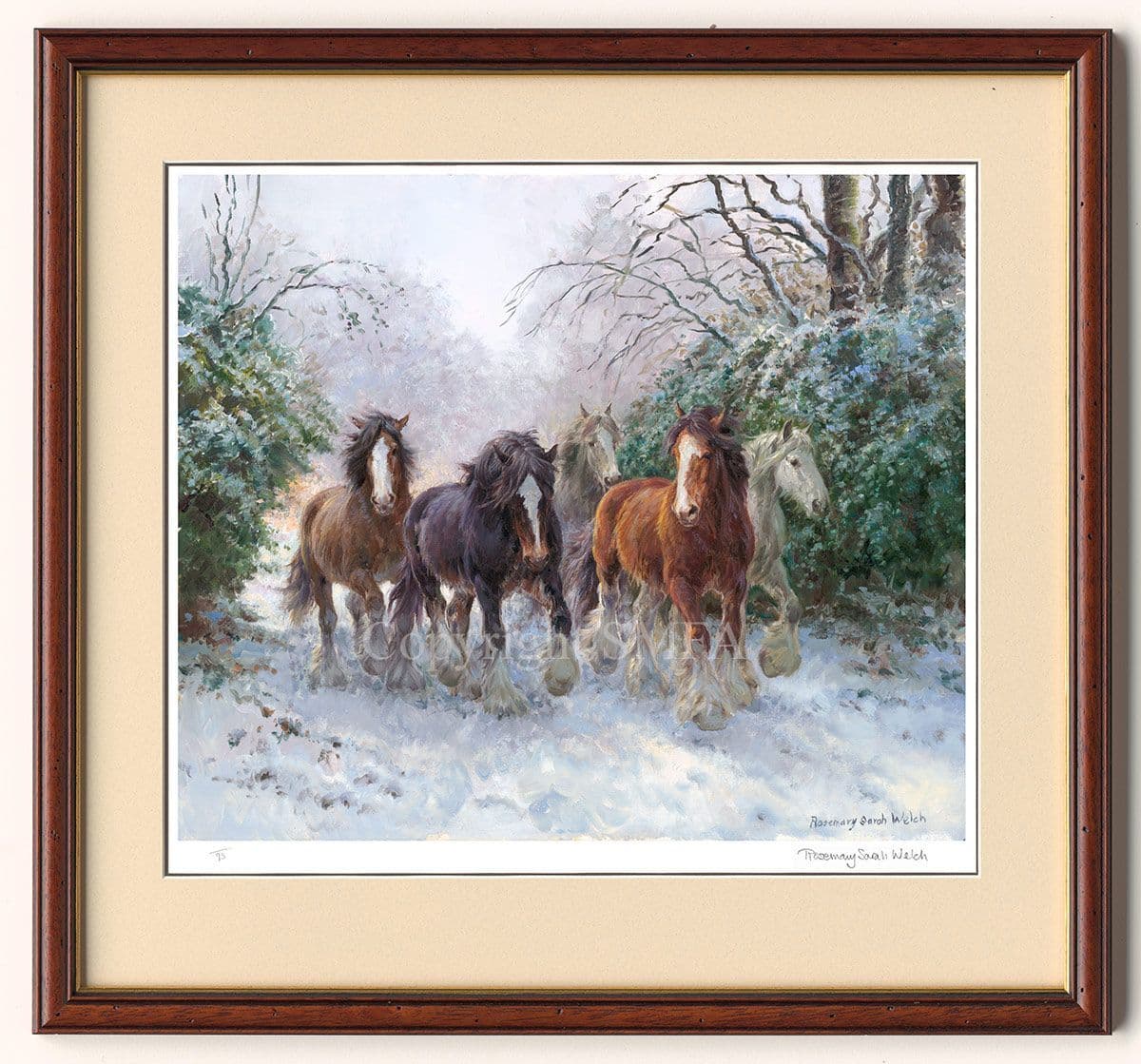 The Heavy Mob Limited Edition Clydesdale Horse print by Rosemary Welch
