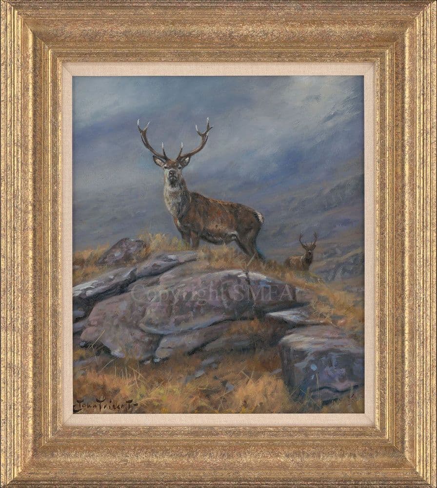 The Lookout Original Stag Oil Painting by John Trickett