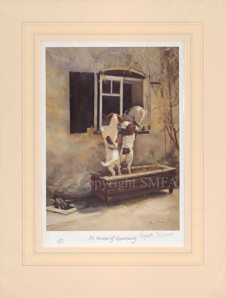 The Window of Opportunity Ex-Display Mounted Springer Spaniel Print by ...