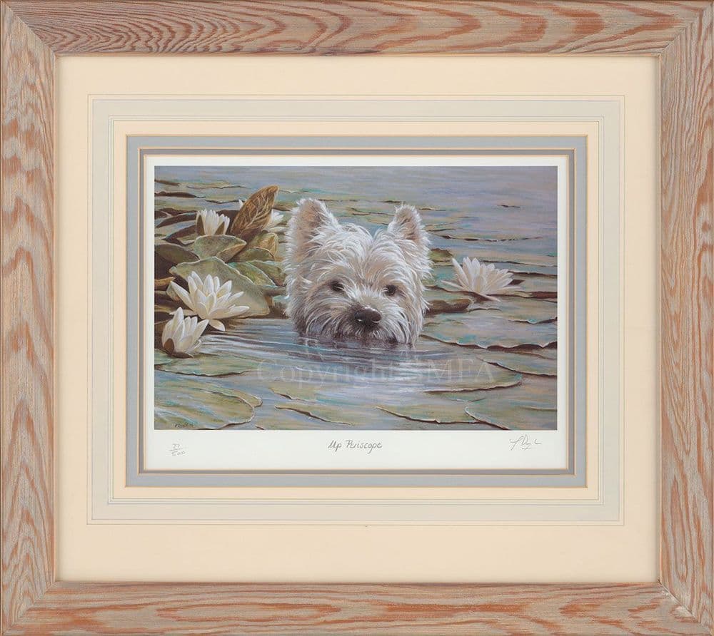 Up Perescope Ex-Display Westie print by Paul Doyle
