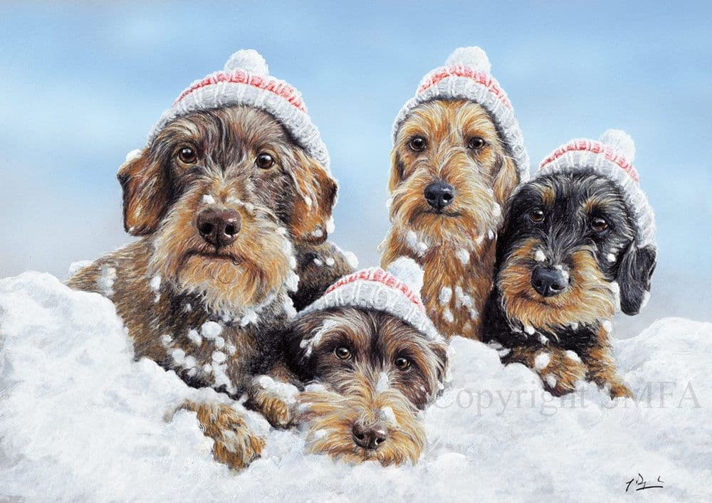 Wired Blank Wire hared Dachshund Greetings card by Paul Doyle