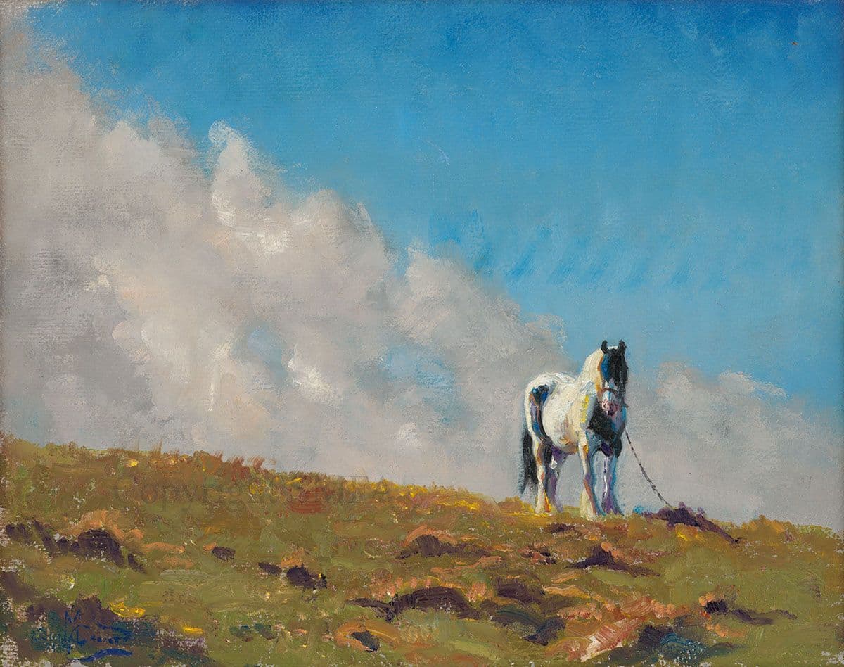 2 SOLD Out Standing Original Coloured Cob Painting by Malcom Coward