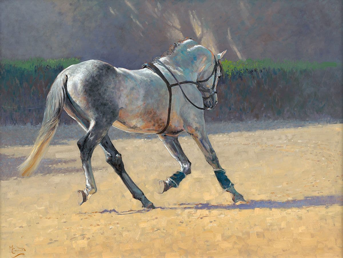 3 Viva Espania Original Spanish Horse Painting by Malcolm Coward