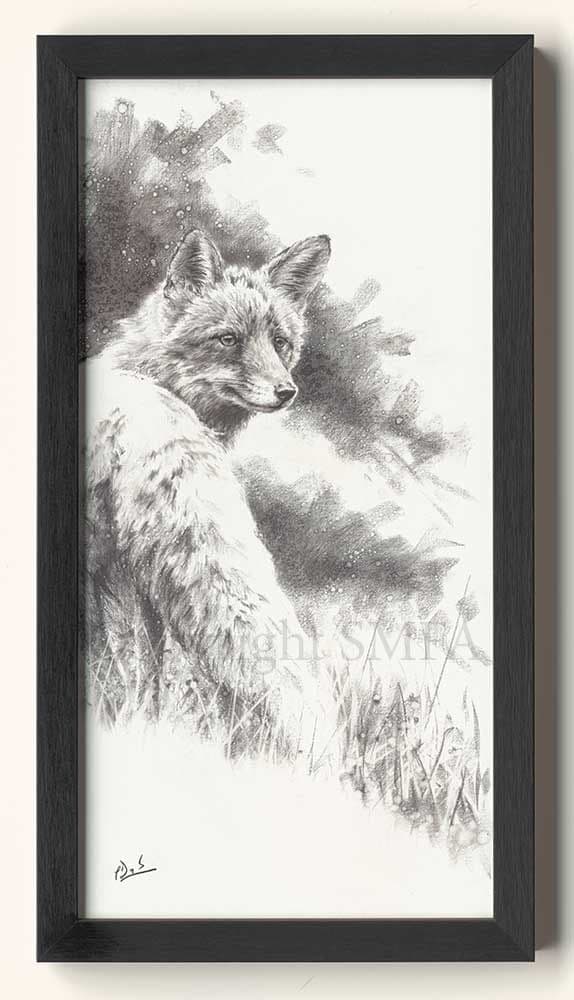 47 Charlie Boy Original Charcoal Drawing on Canvas