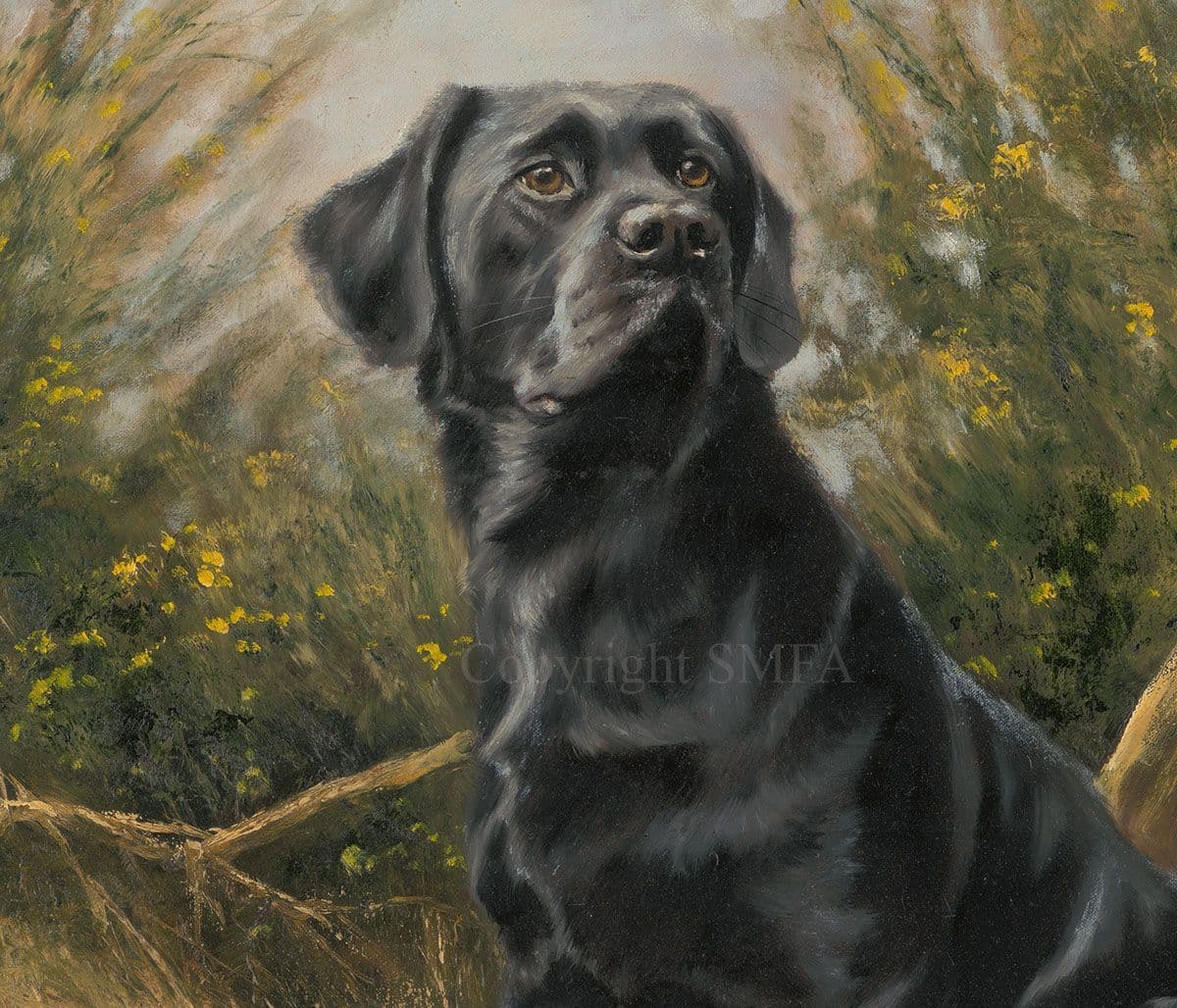 49 SOLD The Wildfowler Original Black Labrador Painting by Mick Cawston