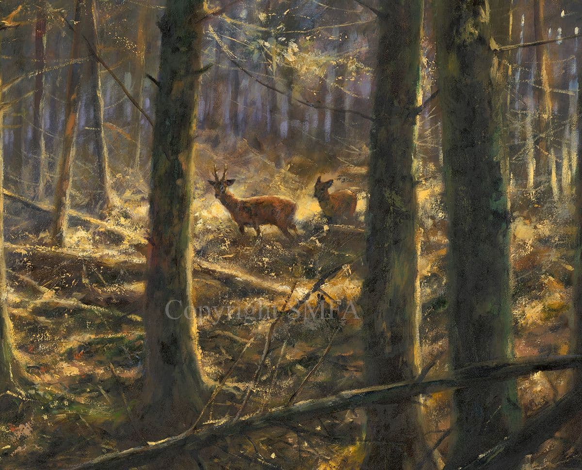 65 Roe Stalking Original Oil Painting by Mick Cawston