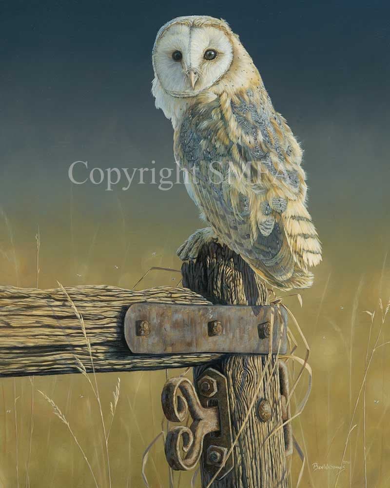 Barn Owl Limited Edition Print The Last Post by Ben Waddams