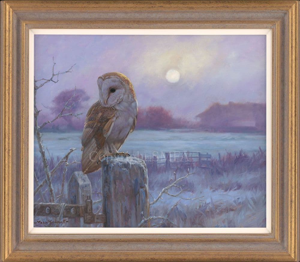 Barn Owl Painting Evenfall by John Trickett
