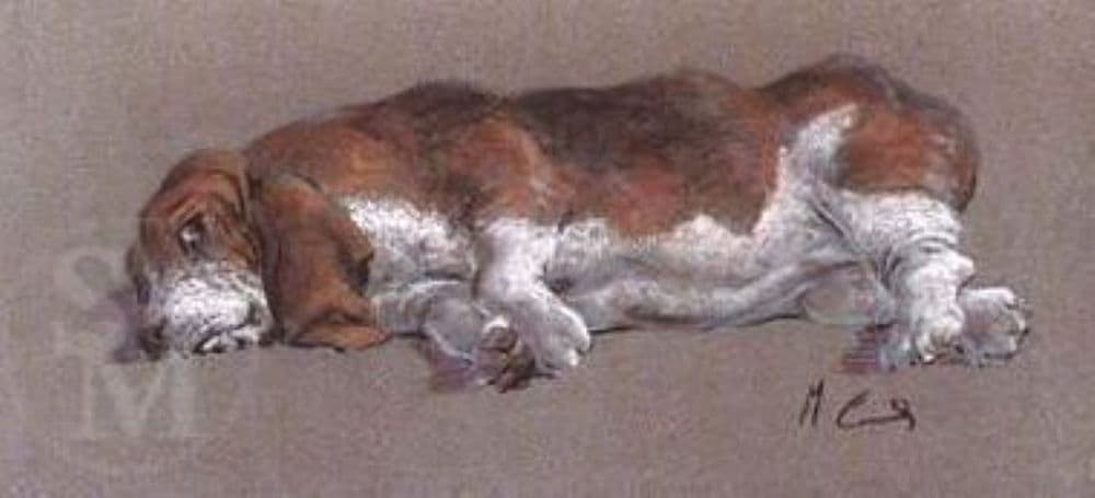 Bassett Hound Limited Edition Print One Fat Lady by Malcolm Coward
