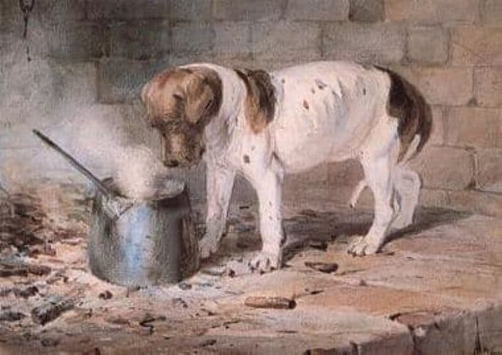 Beagle Blank Greetings Card The Watched Pot by Thomas Woodward B71