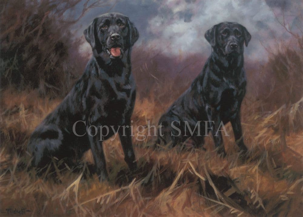 Black Labrador Blank Greetings Card Awaiting Orders by John Trickett C281