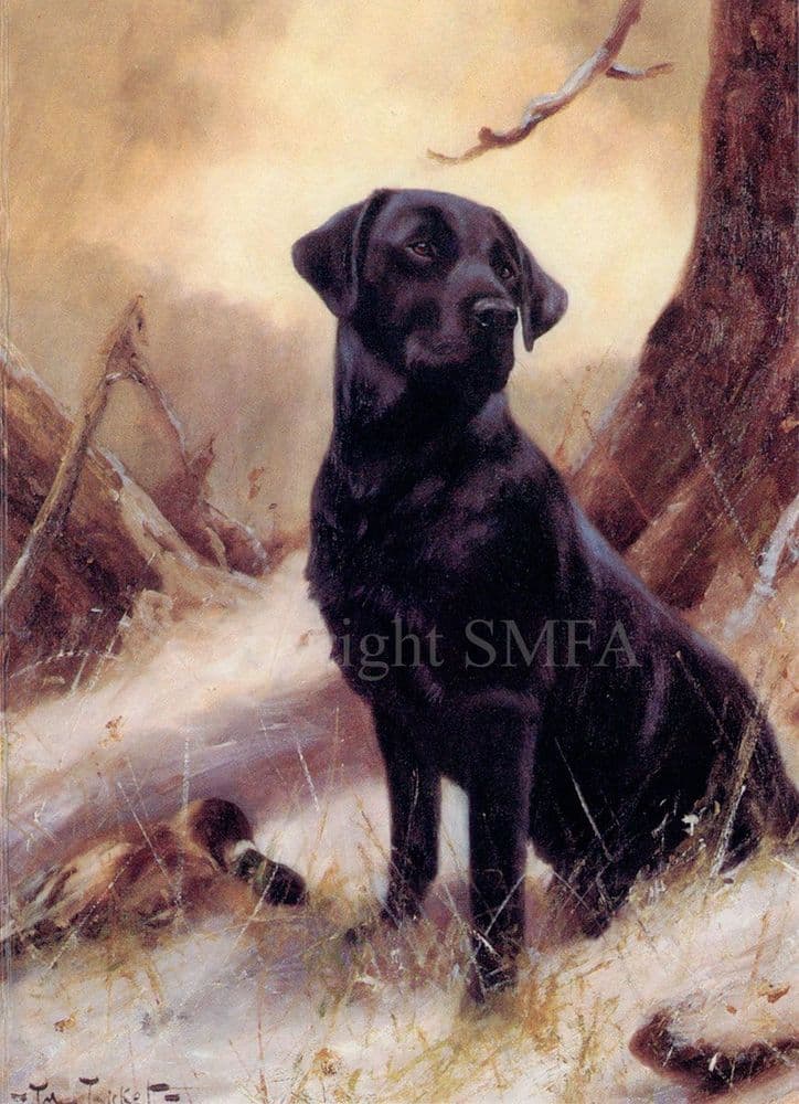 Black Labrador Blank Greetings Card Sincerity by John Trickett B6