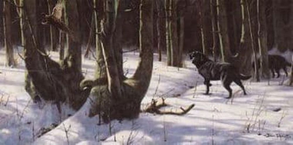 Black Labrador Blank Greetings Card Winter Woodland by John Trickett CS8