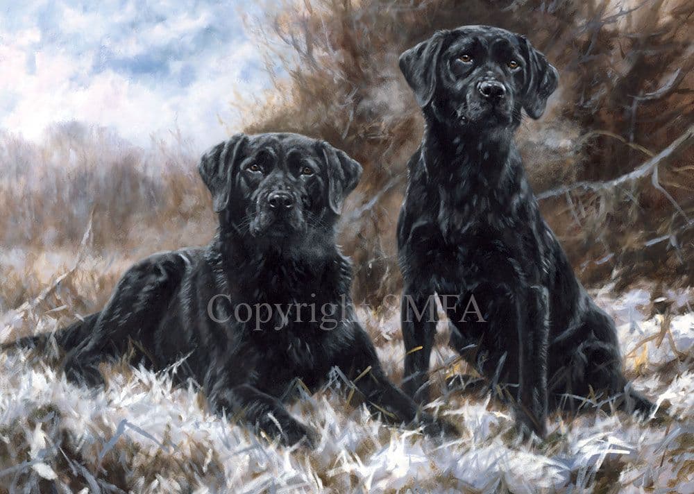 Black Labrador Christmas Cards Breath of Winter by John Trickett C340X