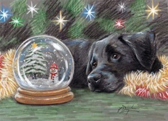 Black Labrador Christmas Cards Snow Globe by Paul Doyle C498X