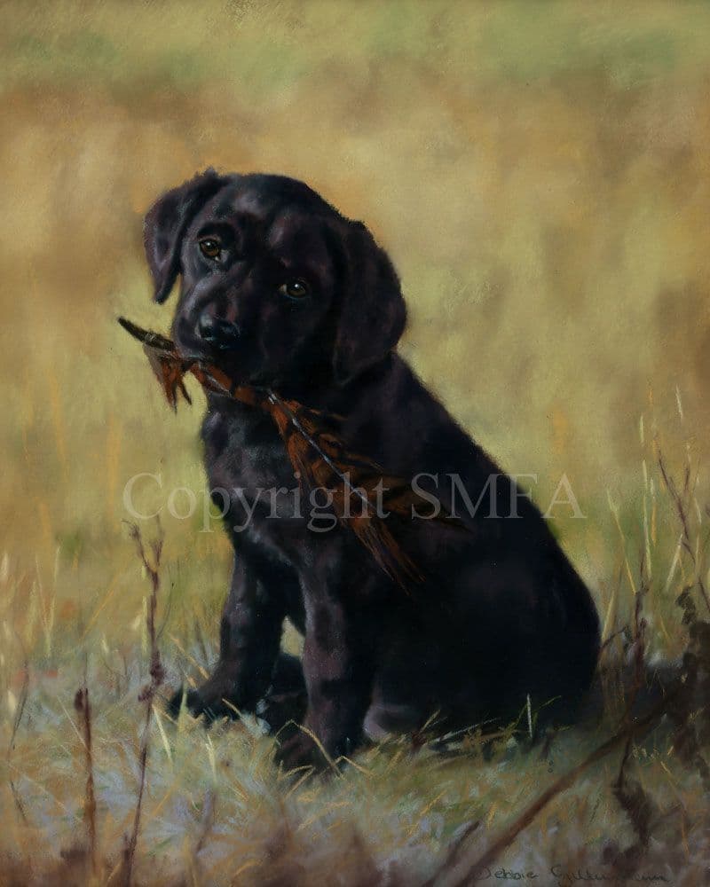 Black Labrador Limited Edition Print Just Learning by Debbie Gillingham