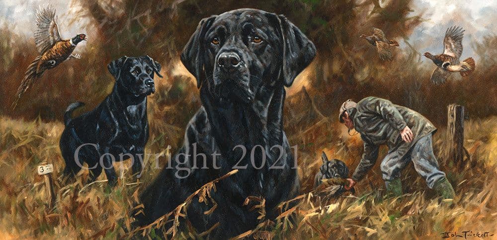 Black Labrador Limited Edition Print Shooting Season by John Trickett