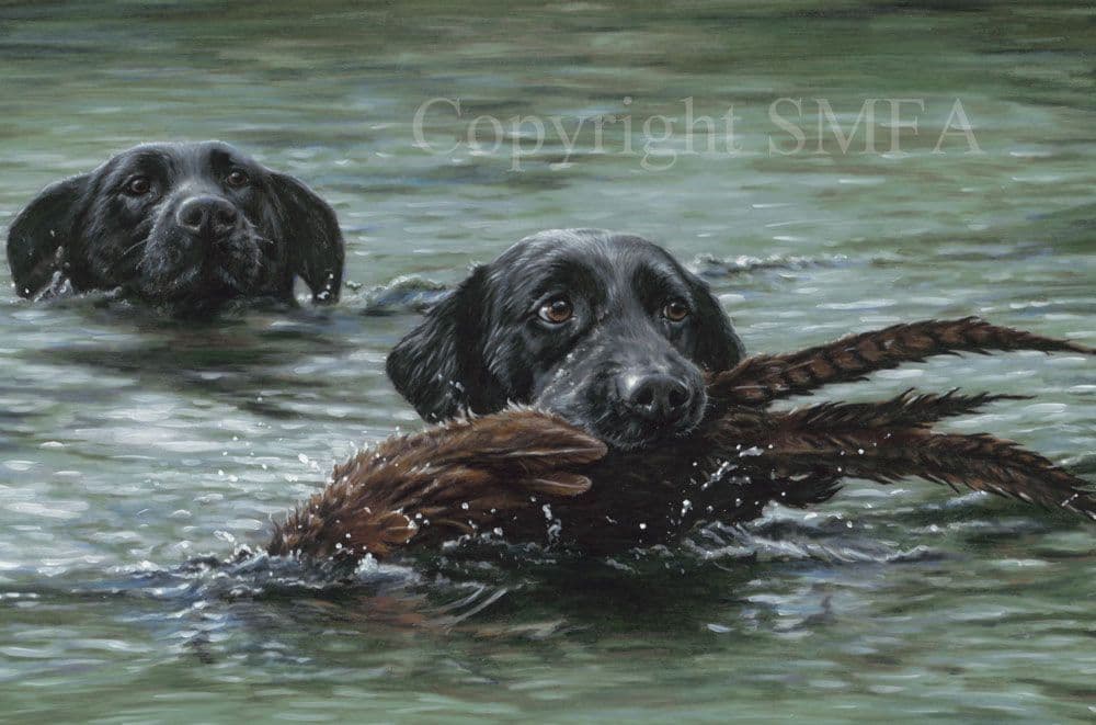 Black Labrador Limited Edition Print Water Sports by Paul Doyle