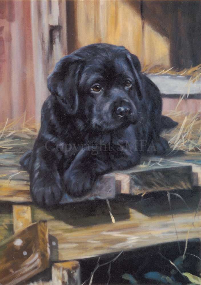 Black Labrador Pup Greetings Card Taking a Break by John Trickett C90