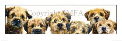 Border Terrier Prints