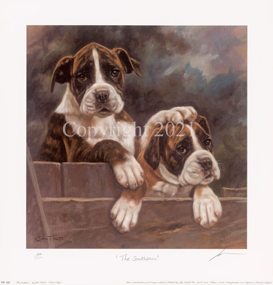 Boxer Limited Edition Print The Southpaw by John Trickett