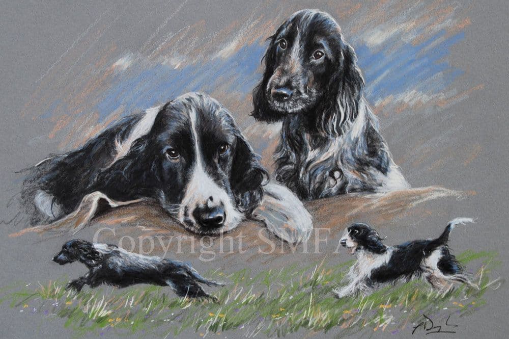 Cocker Spaniel Limited Edition Print Cockers by Paul Doyle