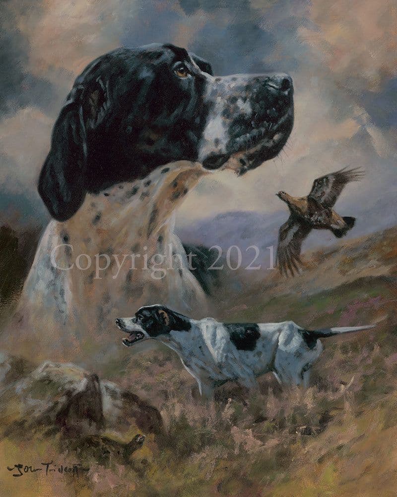 English Pointer Limited Edition Print Moorland Days by John Trickett