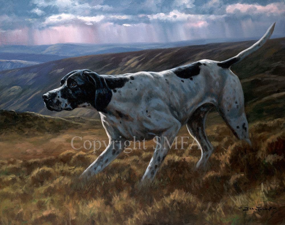 English Pointer Limited Edition Print Moorland Point by John Trickett