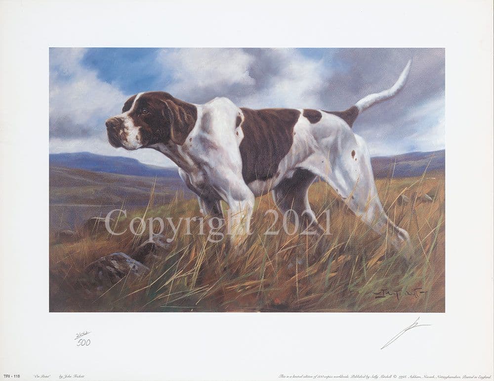 English Pointer Limited Edition Print On Point by John Trickett