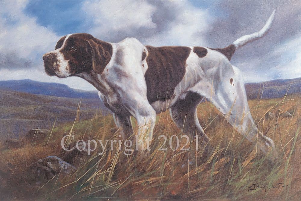 English Pointer Limited Edition Print On Point by John Trickett