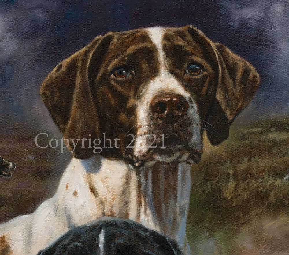 English Pointer Limited Edition Print Point Perfect by John Trickett