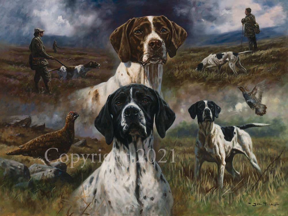 English Pointer Limited Edition Print Point Perfect by John Trickett